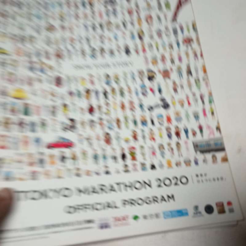 Jual Buku Tokyo Marathon 2020 Official Program Di Seller Shin Store ...