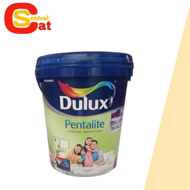 Promo Cat Tembok Dulux Pentalite 20 Kg Diskon 50% Di Seller Han4 ...