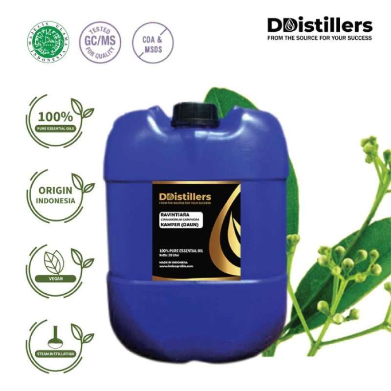 Jual Ravintsara / Daun Kamper Essential Oil Pure 100%, 20l Hdpe Di ...
