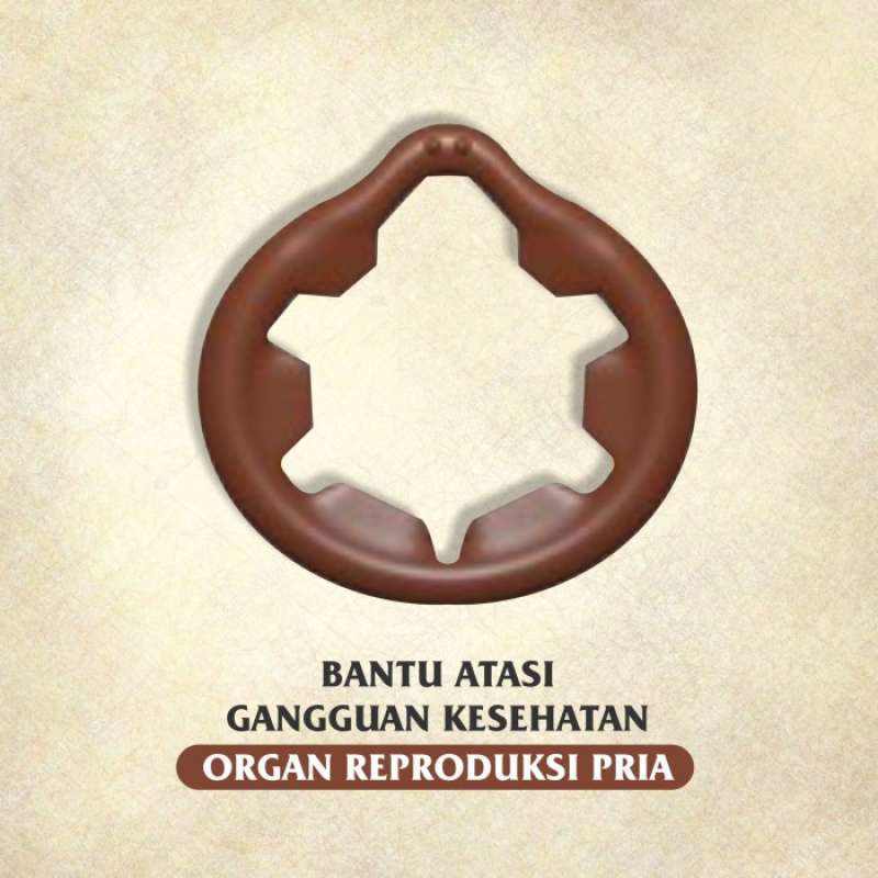 Promo [ready Stock] Powermax Ring - Alat Terapi Kesehatan Vital Pria ...