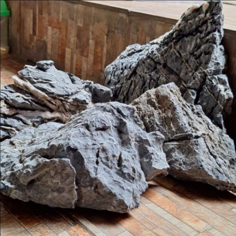 Jual Seiryu Stone 1kg - Aquascape Stone / Batu Aquascape - Seriyu Di ...