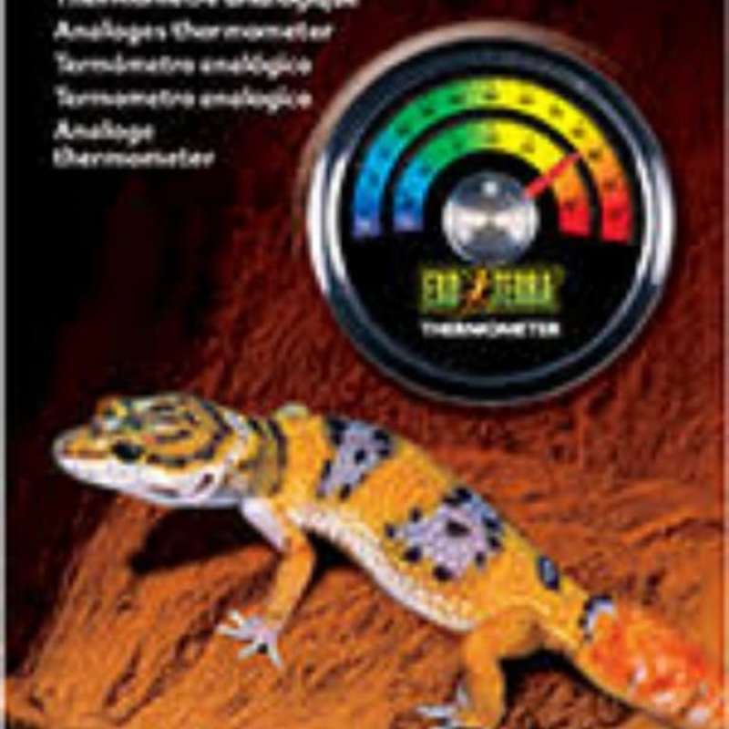 Jual Thermometer Exoterra Penunjuk Suhu Dial Termometer Exo Terra Di ...