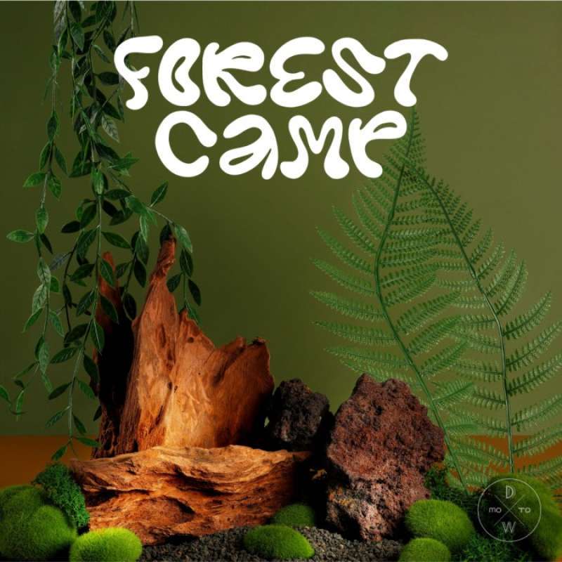 Jual Paket Props - Forest Camp Ornamen Dekorasi Foto Produk Tema Hutan ...