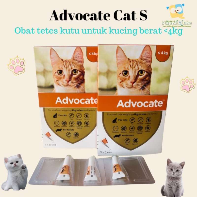 Promo Advocate Cat Up To 4kg (s) - Obat Kutu Kucing Kecil Diskon 23% Di Seller Siba Store ...