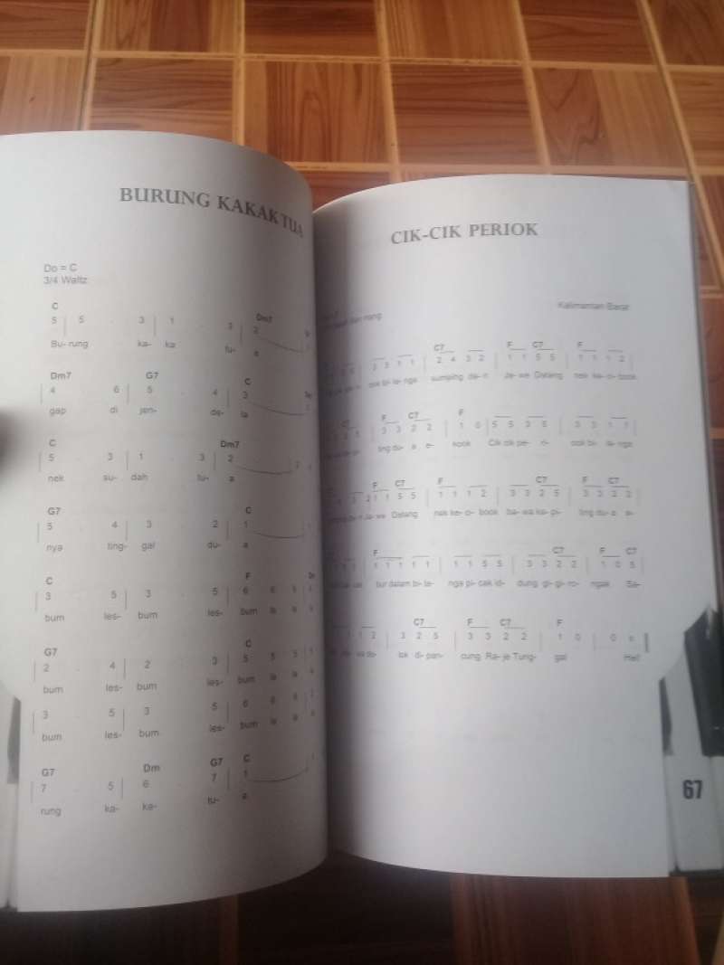 Promo Buku Panduan Cara Memainkan Pianika Dan Recorder Diskon 23% Di ...