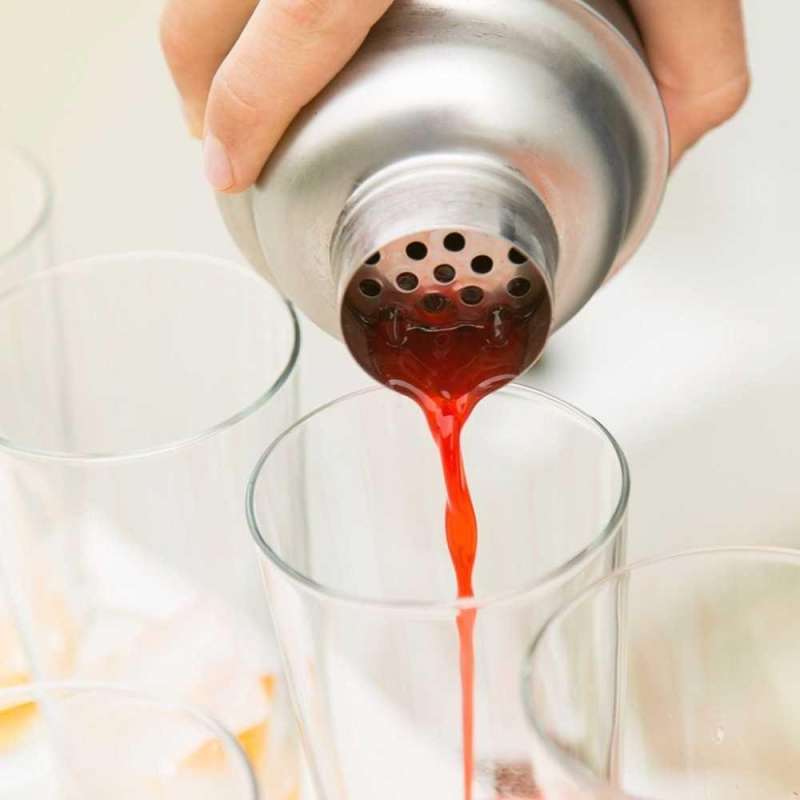 Jual 6 In 1 Bartender Cocktail Shaker Jigger Bar Spoon 750ml Ba016 ...