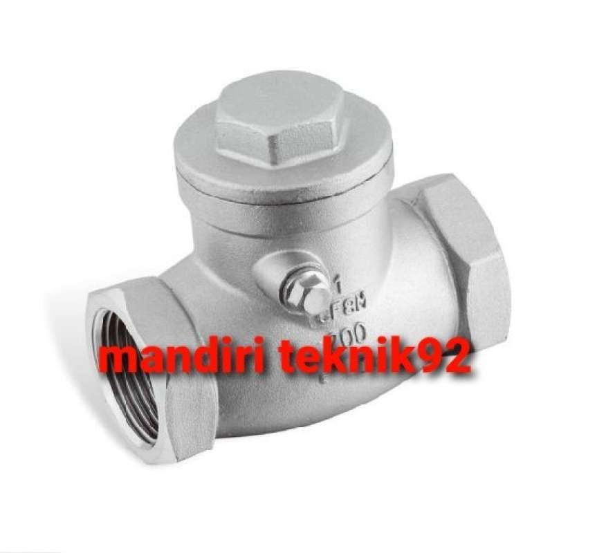 Promo 2 Inch Swing Check Valve Stainless Diskon 23% Di Seller Specta ...