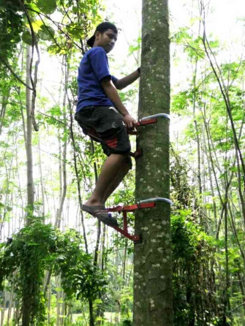 Jual Alat Panjat Pohon Kelapa Durian Pinus Jabon Tiang Listrik Di ...