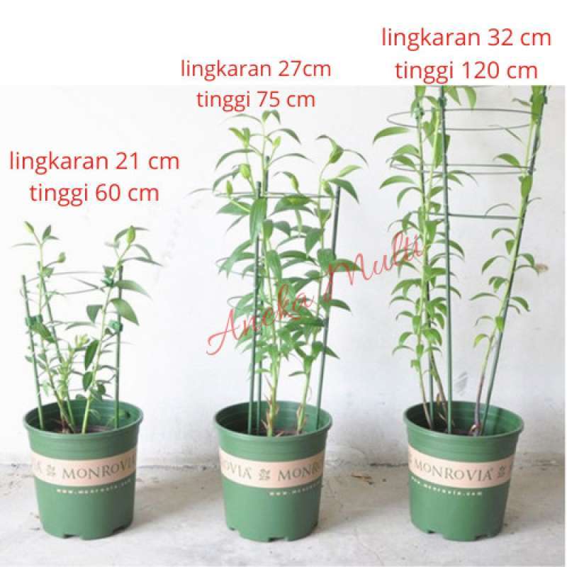 Jual Takiron 120 Cm Plant Support Wire Climbing Penyangga Untuk Tanaman ...