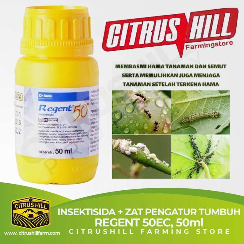 Jual Insektisida + Zpt Regent 50 Sc 50 Ml Obat Hama Ulat, Kutu, Semut ...