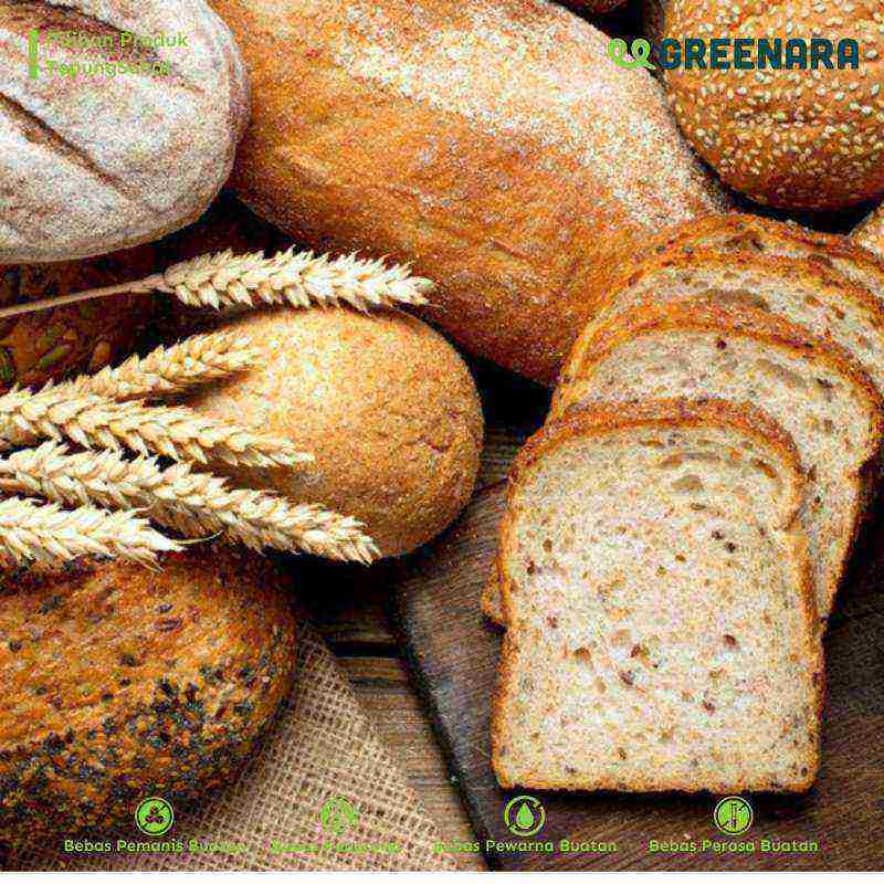 Promo Tepung Gandum Utuh 250gram / Whole Meal Flour / Whole Wheat Flour ...