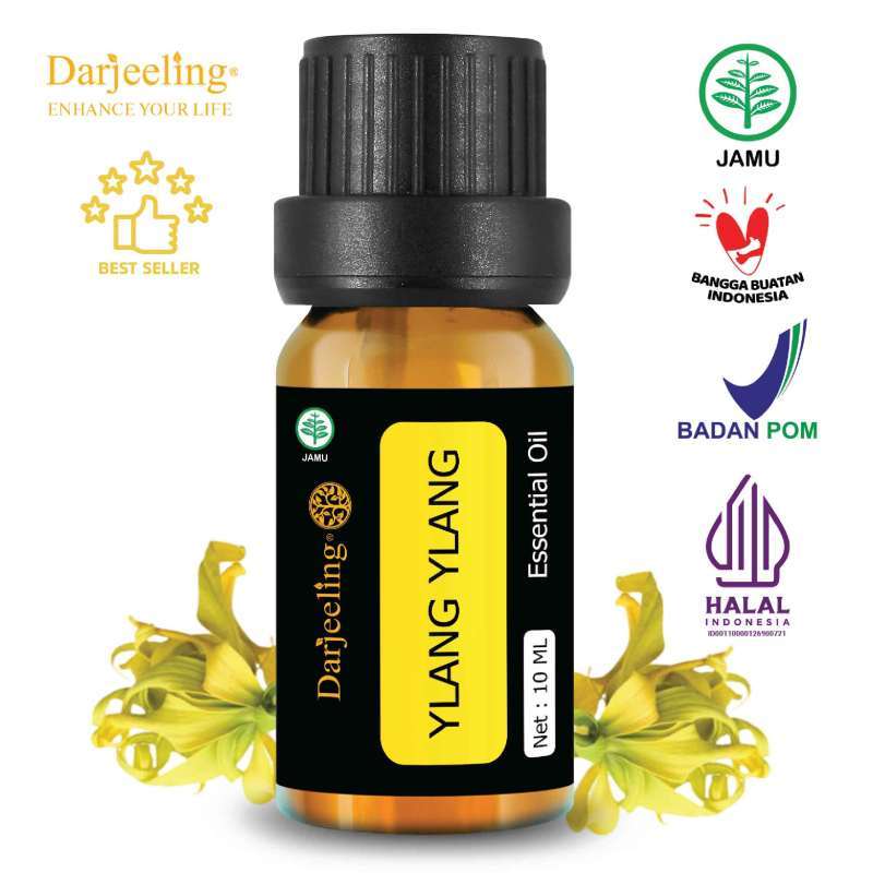 Jual Darjeeling Ylang Ylang Essential Oil / Minyak Kenanga -10ml Di ... Jual Darjeeling Ylang Ylang Essential Oil / Minyak Kenanga -10ml Di ...