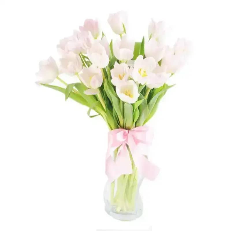 Bunga Tulip - Harga Terbaru Mei 2026
