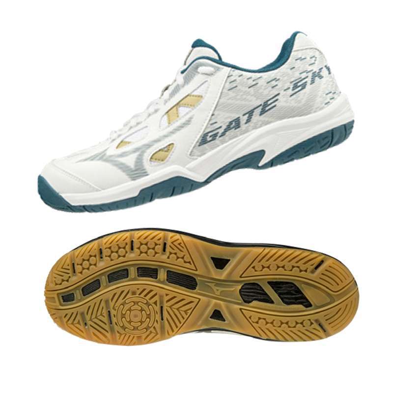 Jual MIZUNO GATE SKY PLUS - 41 di Seller GT Sport Official Store - Balong Sari, Kota Surabaya ...