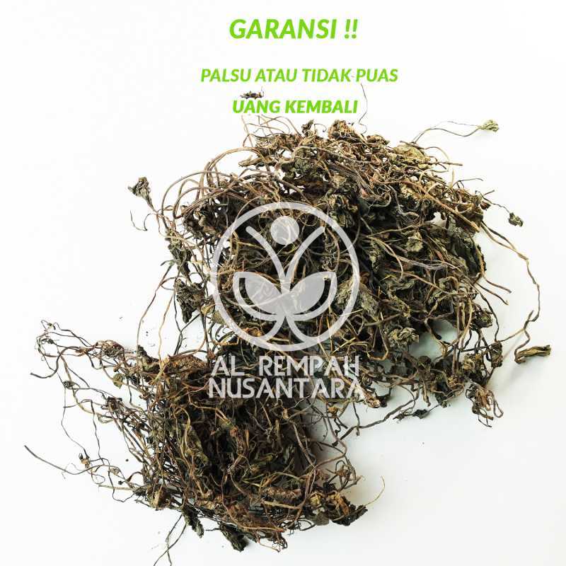 Promo Daun Pegagan Atau Antanan Kering 250gr - Organik Diskon 29% Di ...
