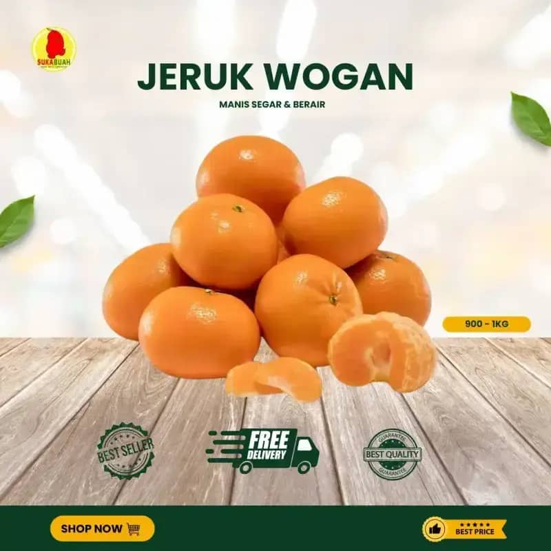 Jual Jeruk Wogan Mandarin Harga Grosir Mei 2026