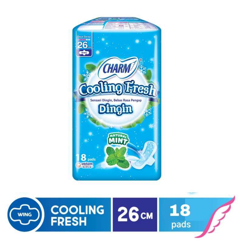 Jual Charm Pembalut Wing 20 Termurah - Harga Grosir Terupdate Hari Ini ...