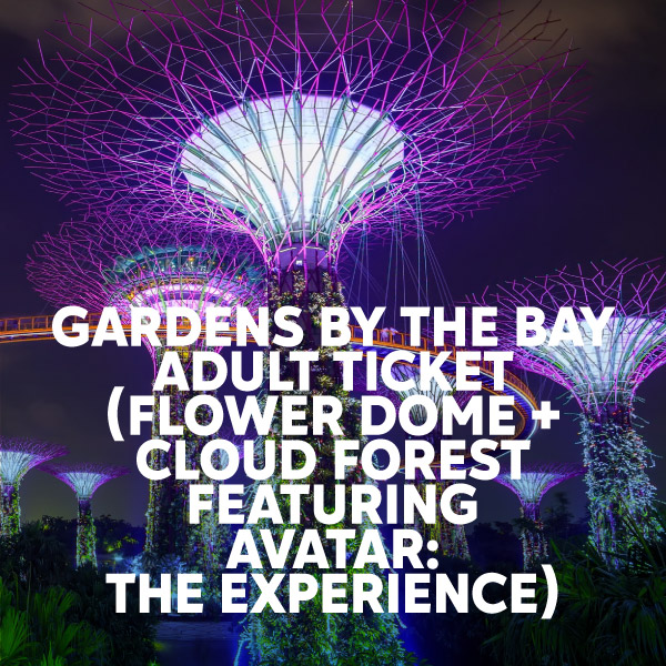 Promo FS STB - Gardens by the Bay Singapore Admission TIcket (Flower ...