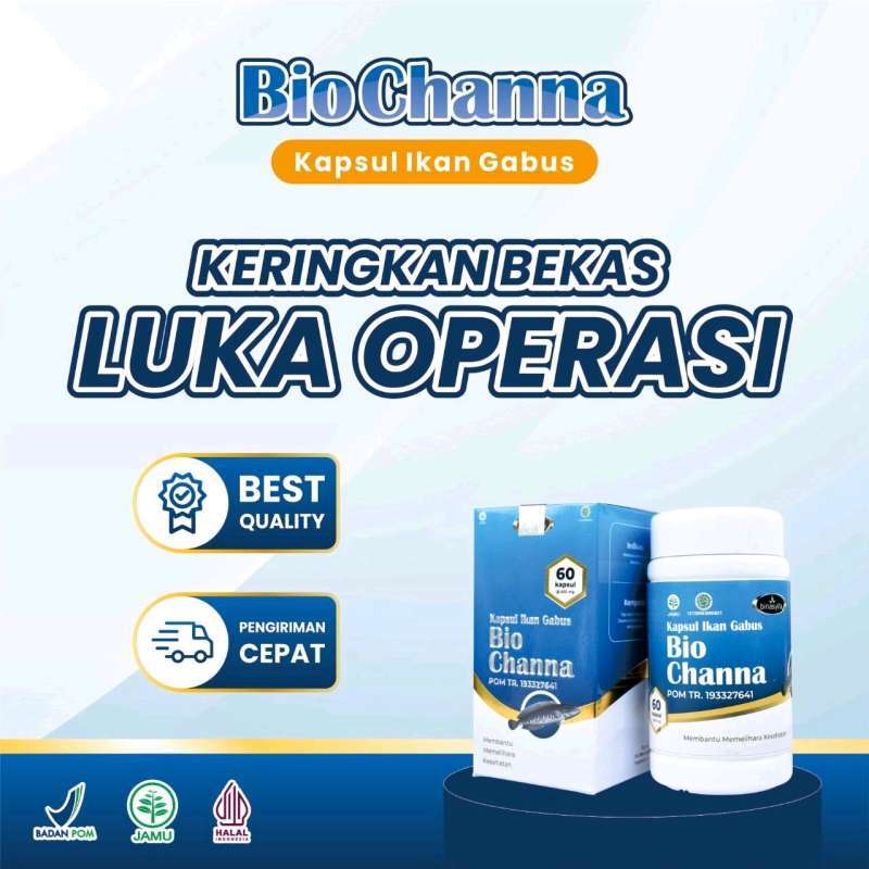 Jual Bio Channa Kapsul Ikan Gabus Binasyifa Mandiri Di Seller Stok ...