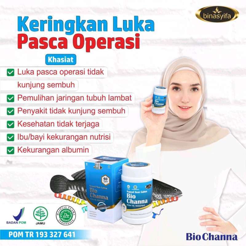 Jual Bio Channa Kapsul Ikan Gabus Binasyifa Mandiri Di Seller Stok ...
