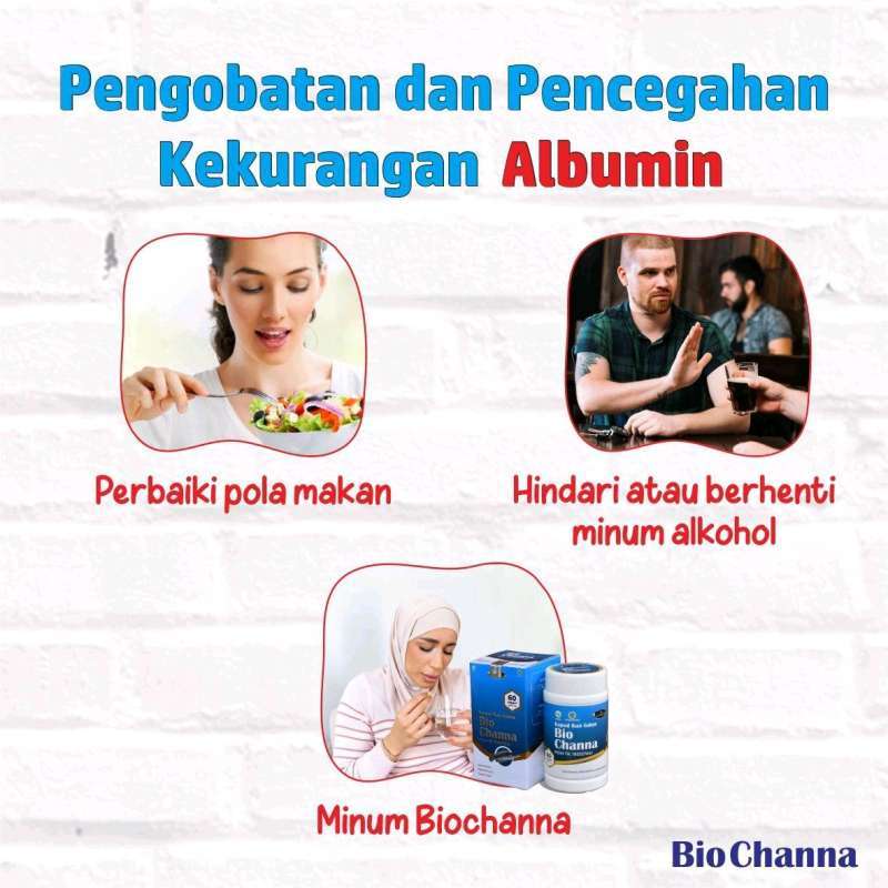Jual Bio Channa Kapsul Ikan Gabus Binasyifa Mandiri Di Seller Stok ...