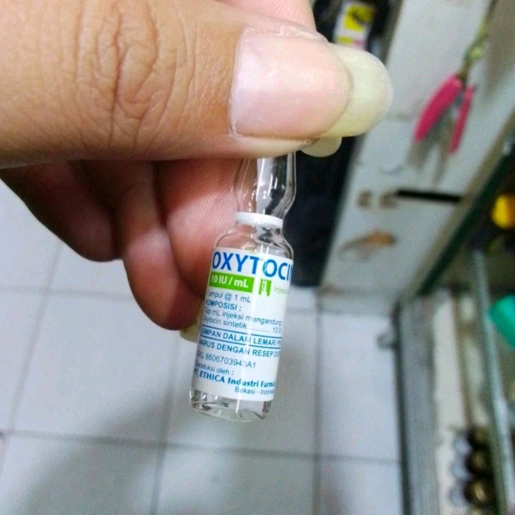 Oxytocin Injeksi Per Ampulan Original Lengkap Harga Terbaru Februari ...