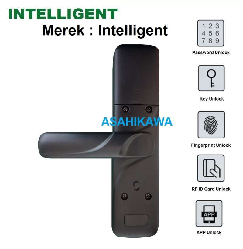 Promo Intelligent Password, Fingerprint, Tap Key Card, Rfid, Door ...