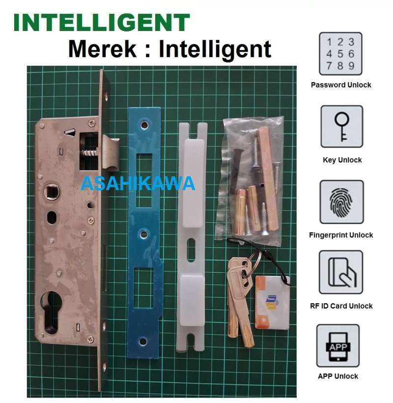 Promo Intelligent Password, Fingerprint, Tap Key Card, Rfid, Door ...