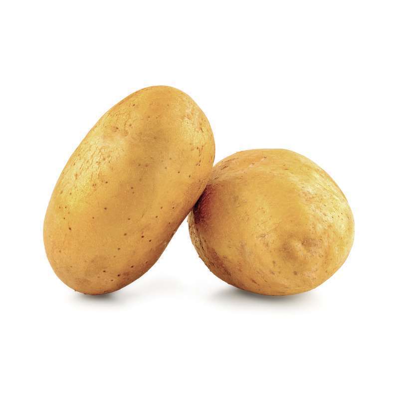 Jual Kentang Jumbo 1 Kg Terdekat 🏷️ Harga Grosir Murah Terupdate Hari ...