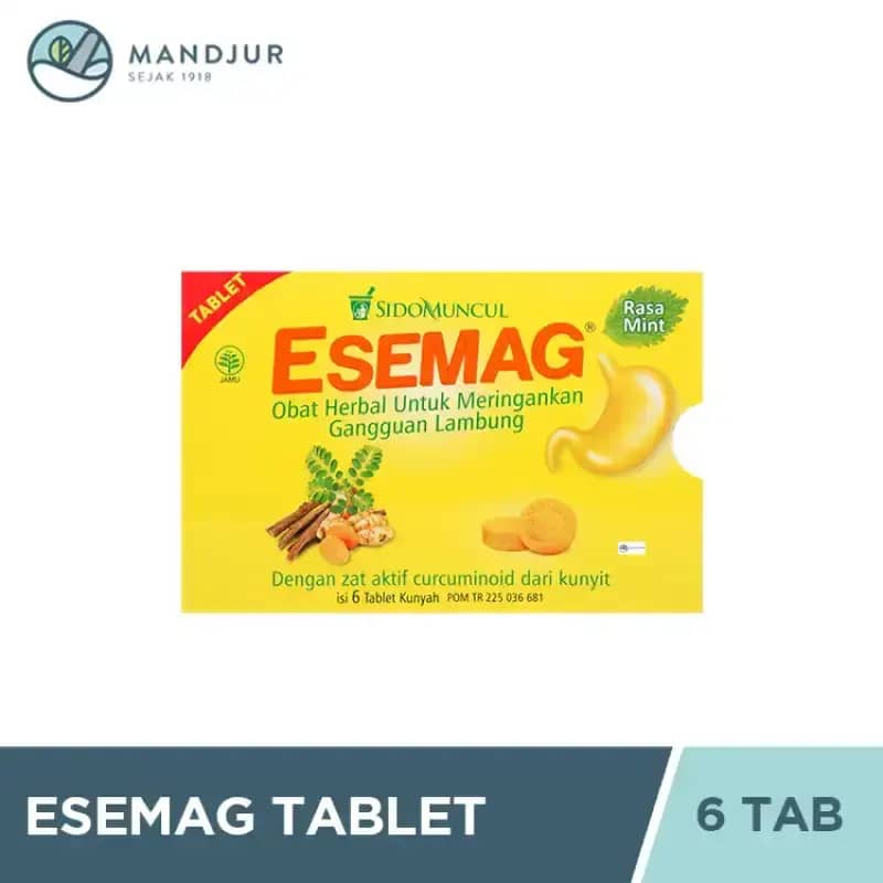Jual Esemag Tablet Harga Terbaru Mei 2026