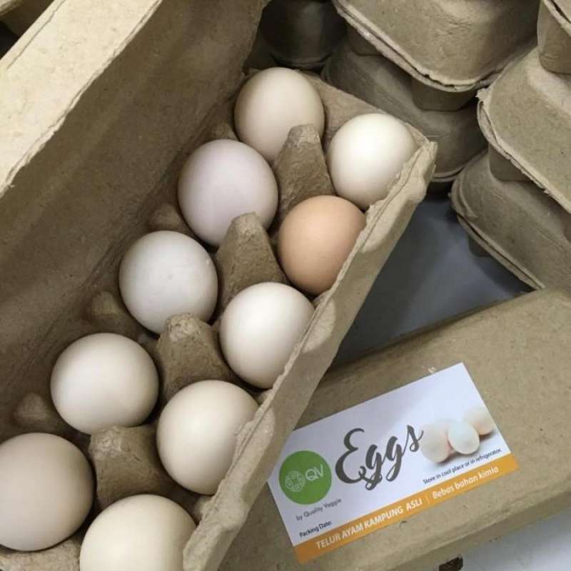 Jual Telur Ayam 1 Pack 4 Butir Termurah - Harga Grosir Terupdate Hari ...