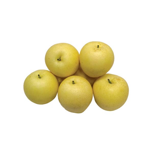 Jual Buah Segar Batam Termurah - Harga Grosir Terupdate Hari Ini | Blibli