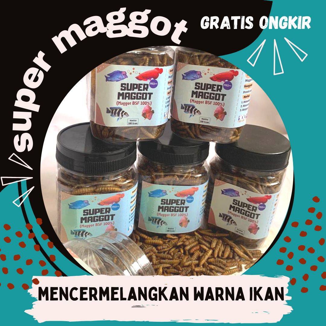 Promo magot kering maggot bsf pakan arwana pakan koi pakan channa pakan ...