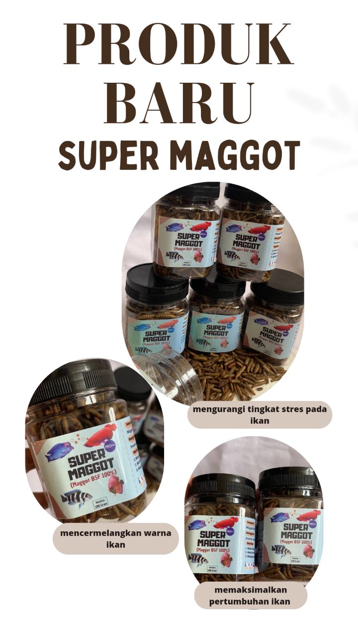 Promo magot kering maggot bsf pakan arwana pakan koi pakan channa pakan ...