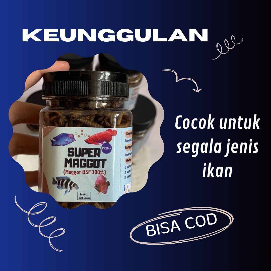 Promo magot kering maggot bsf pakan arwana pakan koi pakan channa pakan ...