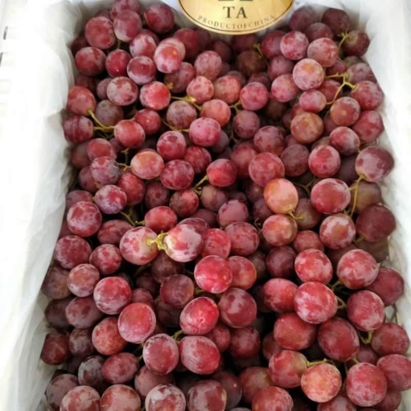 Jual Buah Anggur Keranjang Surabaya Terbaru - Harga Promo Februari 2024 ...