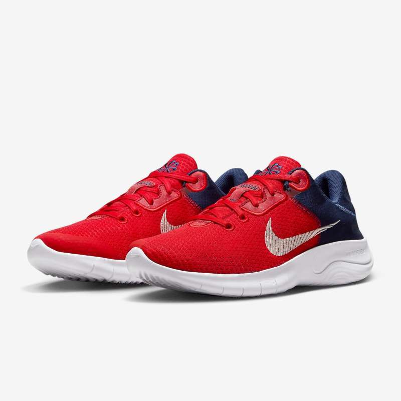 Promo Nike Men Running Flex Experience Run 11 Sepatu Lari Pria [DD9284 ...