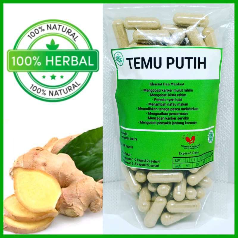 temulawak putih