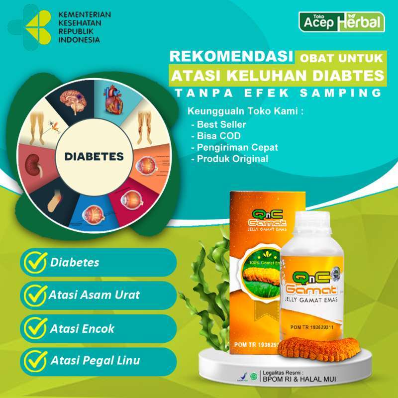 Gamat Kering Lengkap Harga Terbaru Juli 2024 | Blibli