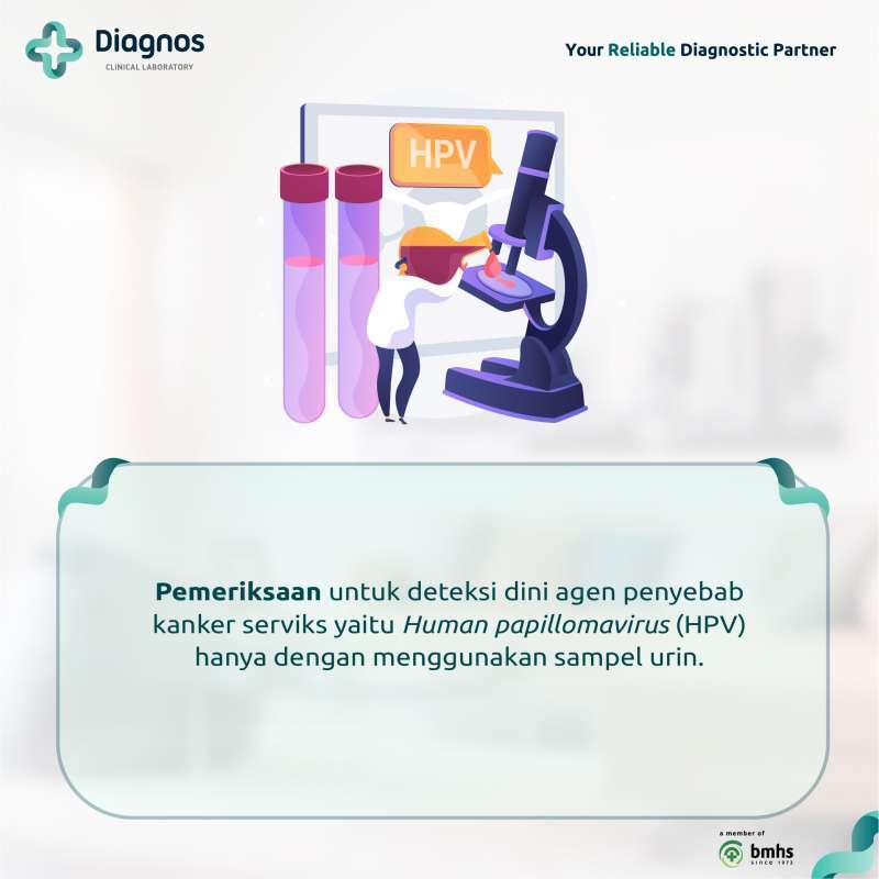 Promo Cervigene Sampling Kit - Pemeriksaan Hpv Dna Urin Diskon 27% Di ...