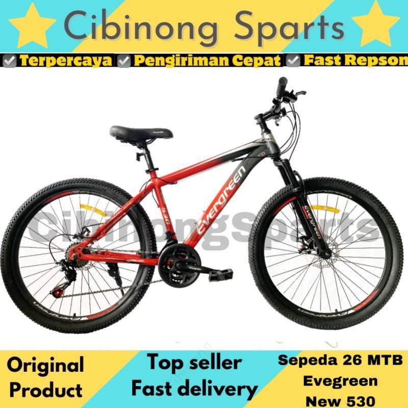 Jual Sepeda Gunung MTB 26 Evergreen 530 DiscBrake 21Speed New Product ...
