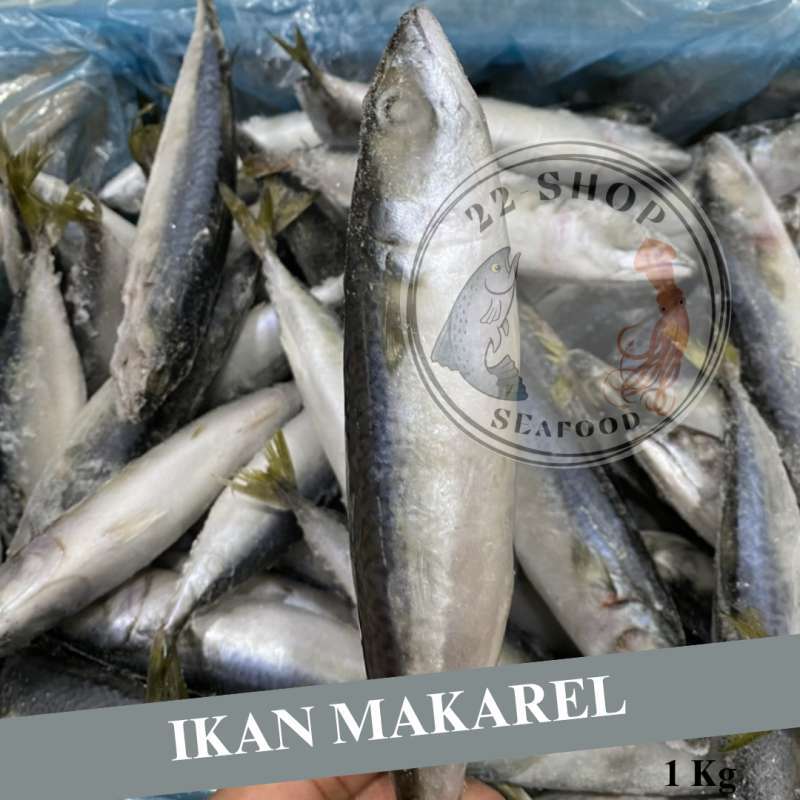 Jual Ikan Saba Makarel Frozen Termurah - Harga Grosir Terupdate Hari ...