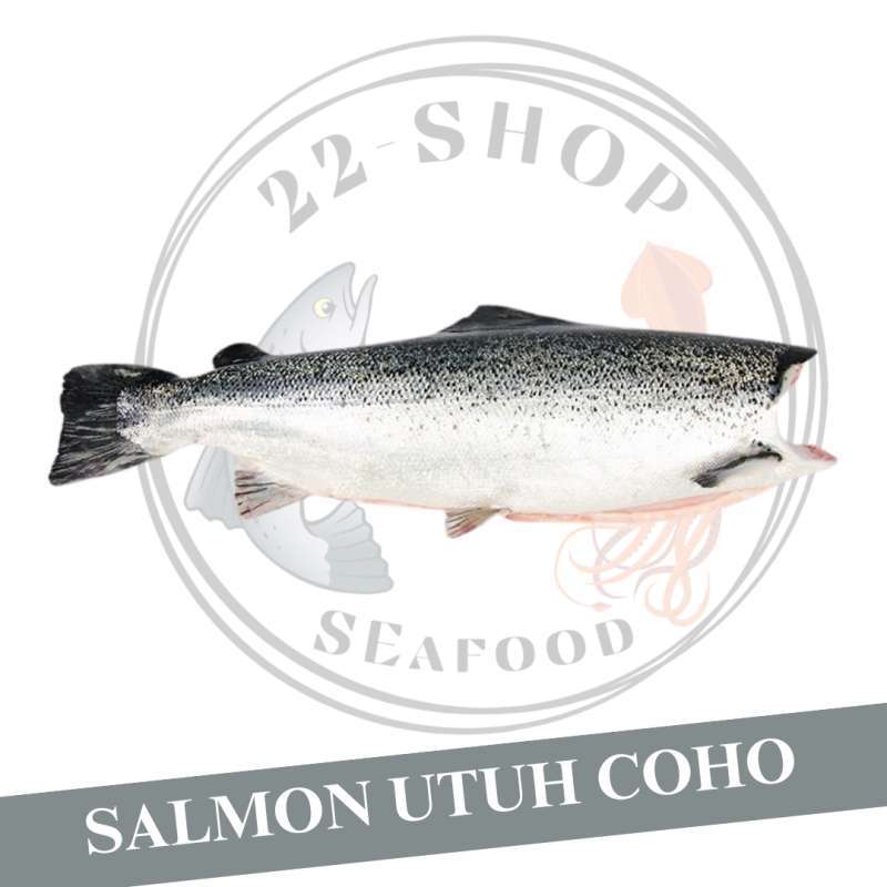 Promo SALMON UTUH COHO FROZEN IMPORT HEADLESS / NON HEAD / TANPA KEPALA ...