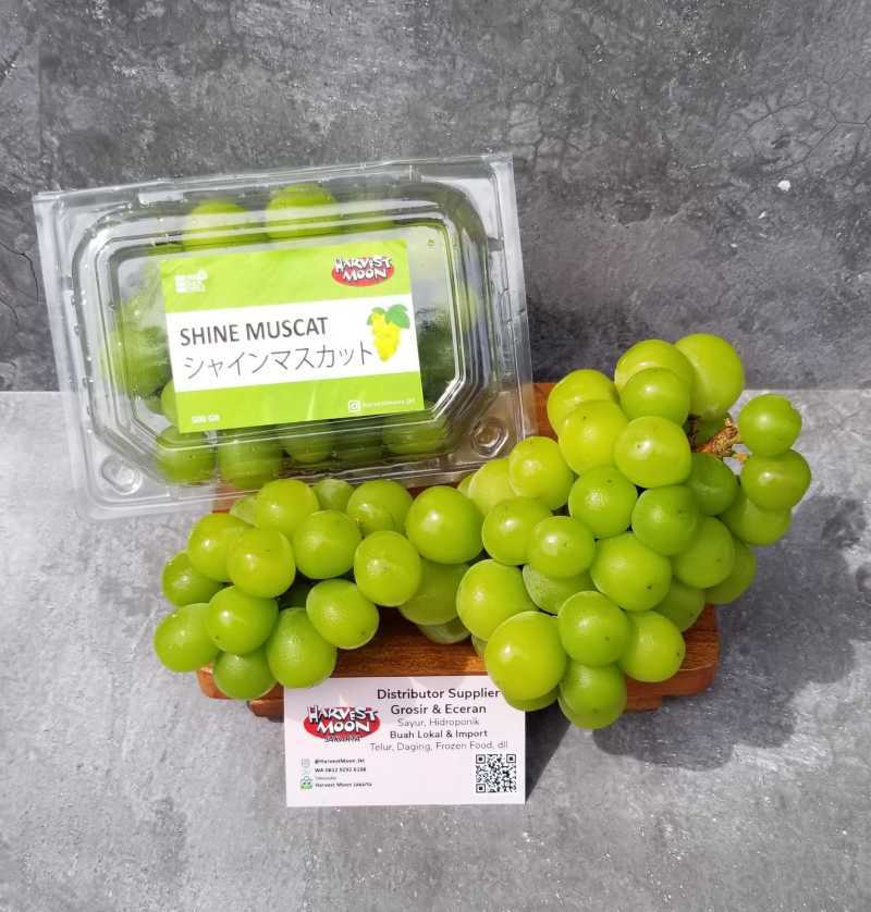 Jual Anggur Shine Muscat Murah - Harga Grosir Mei 2024 | Blibli