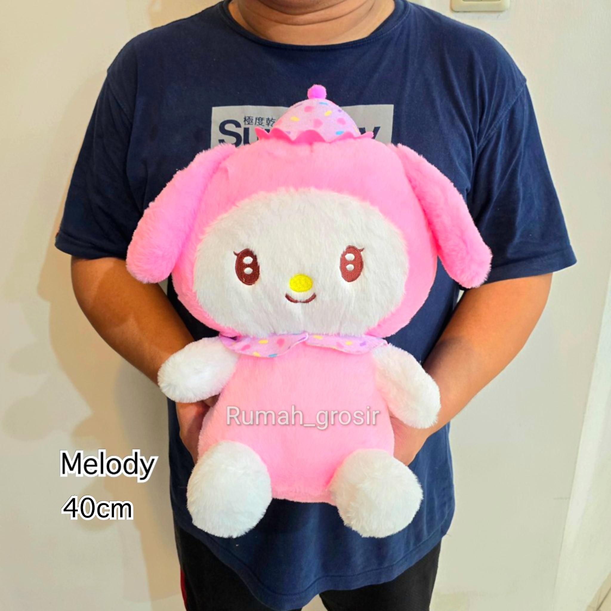 Promo (rumah Grosir) Boneka Kuromi Pompompurin My Melody Hello Kitty Cinnamoroll Lucu - Bantal ...