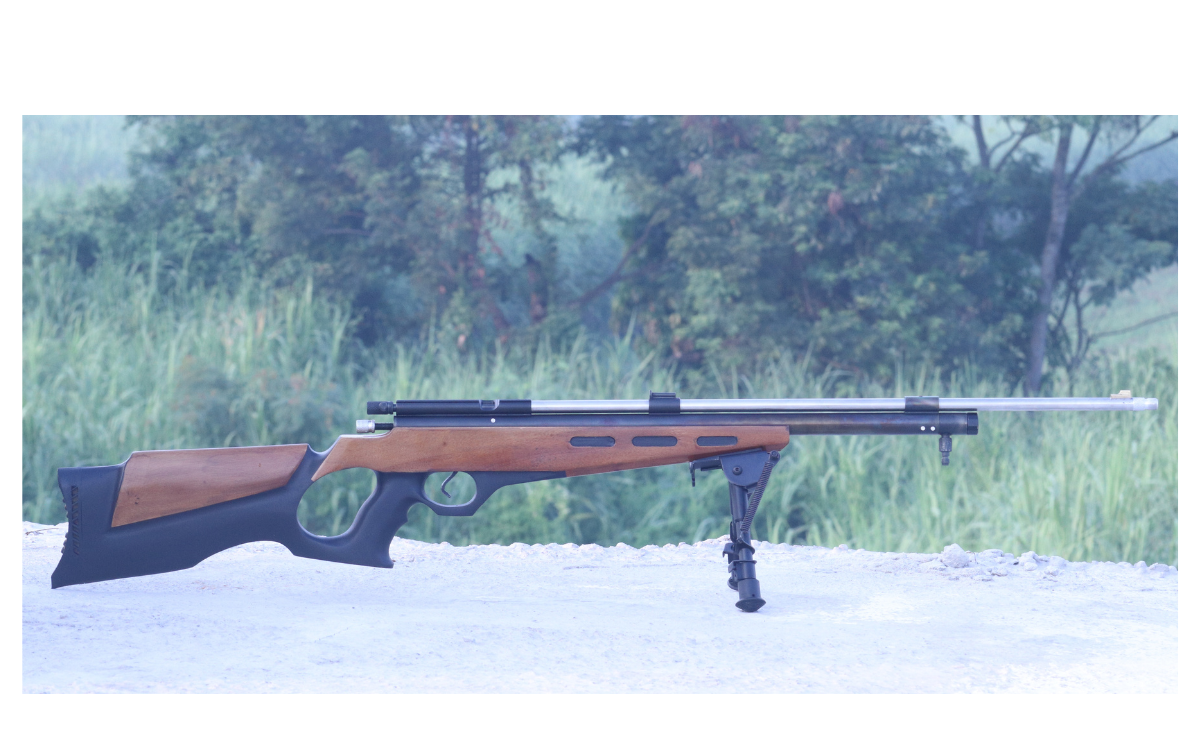 Senapan Angin PCP - Harga Terbaru Agustus 2024 | Blibli