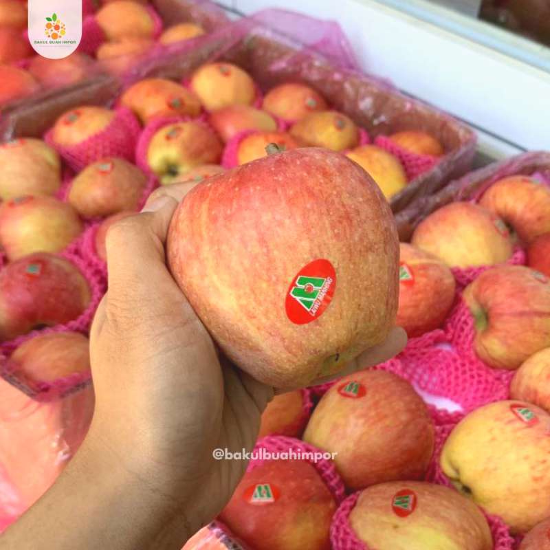 Jual Apel Manis 1 Kg Termurah - Harga Grosir Terupdate Hari Ini | Blibli
