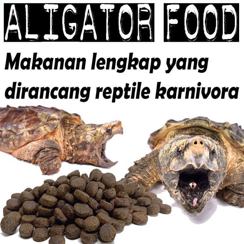 Promo 400 GR PAKAN PELET KURA CST COMMON SNAPPING TURTLE AST BULUS ...
