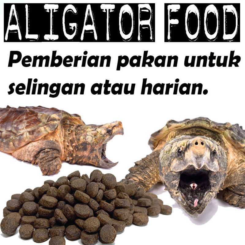 Promo 400 GR PAKAN PELET KURA CST COMMON SNAPPING TURTLE AST BULUS ...
