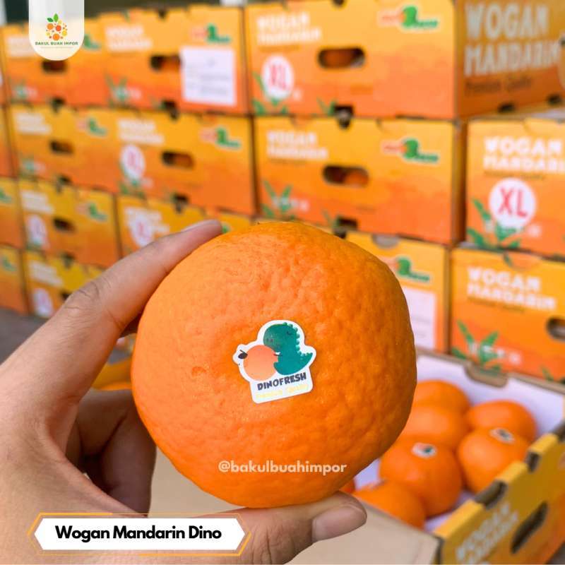 jeruk mandarin wogan